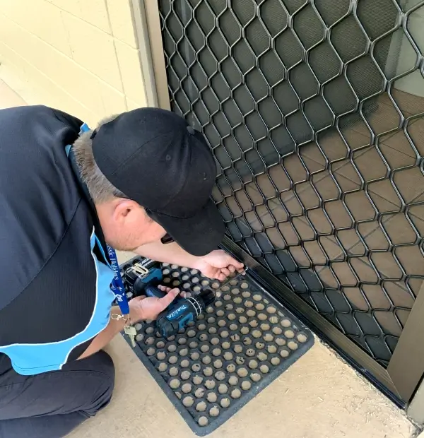 Diamond Grille Screens | Carefree Security & Blinds